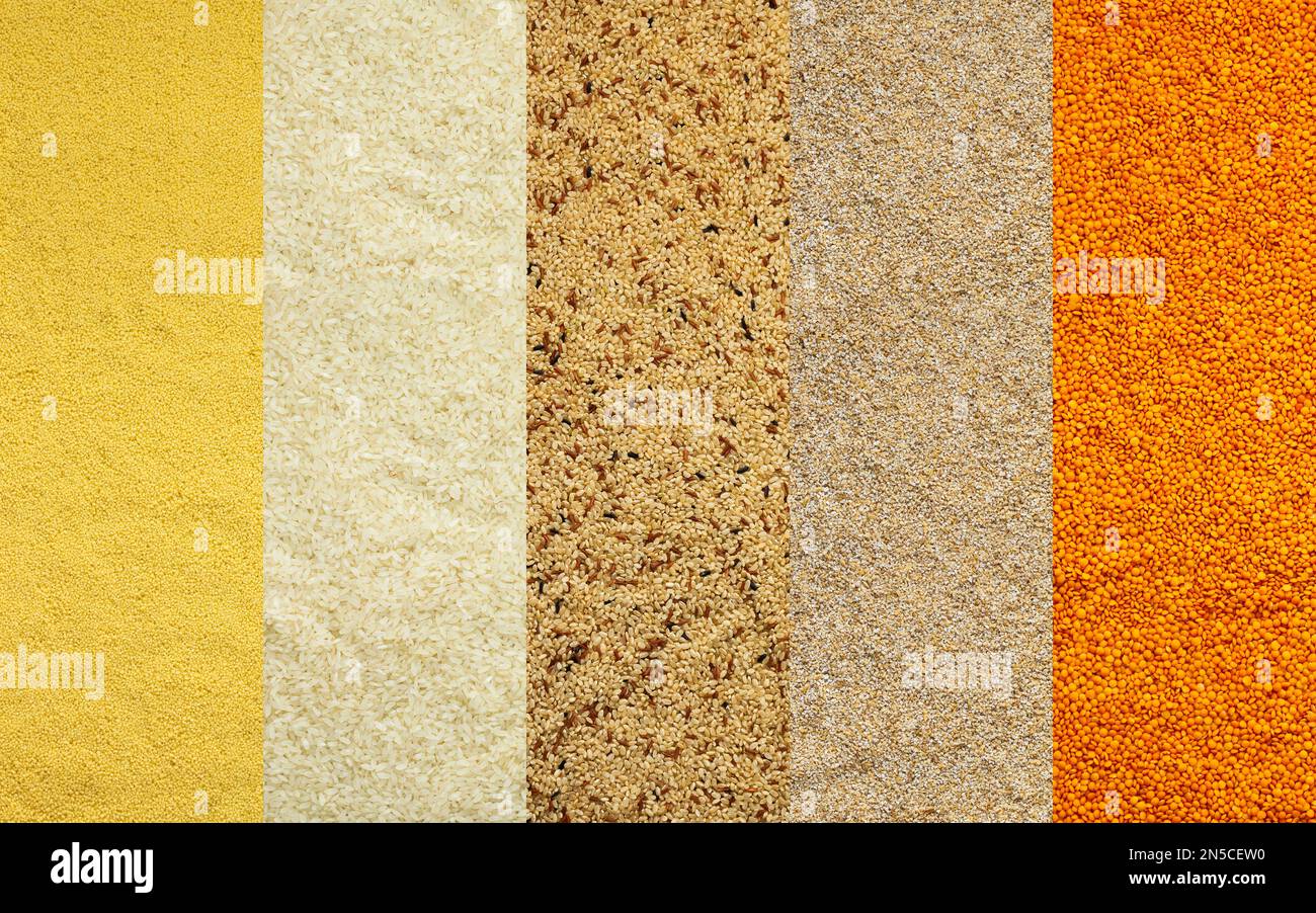 Various grain cereals banner, top view, millet and wheat grits, white ...