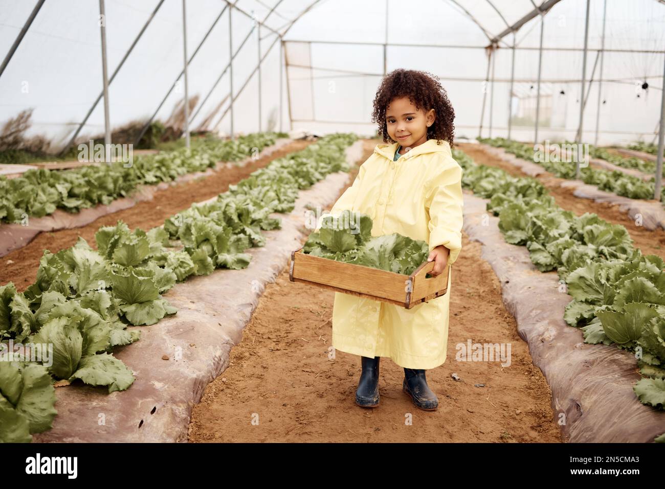 Child, portrait or harvesting vegetables in container, greenhouse land ...