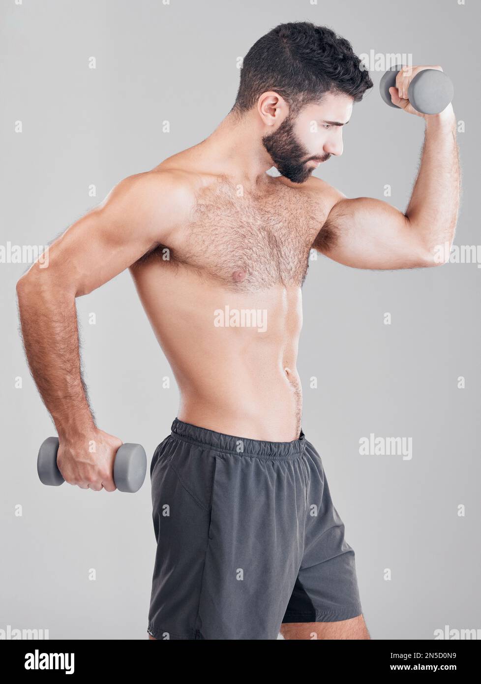 Bodybuilder man, studio and dumbbells for training, fitness and muscle ...