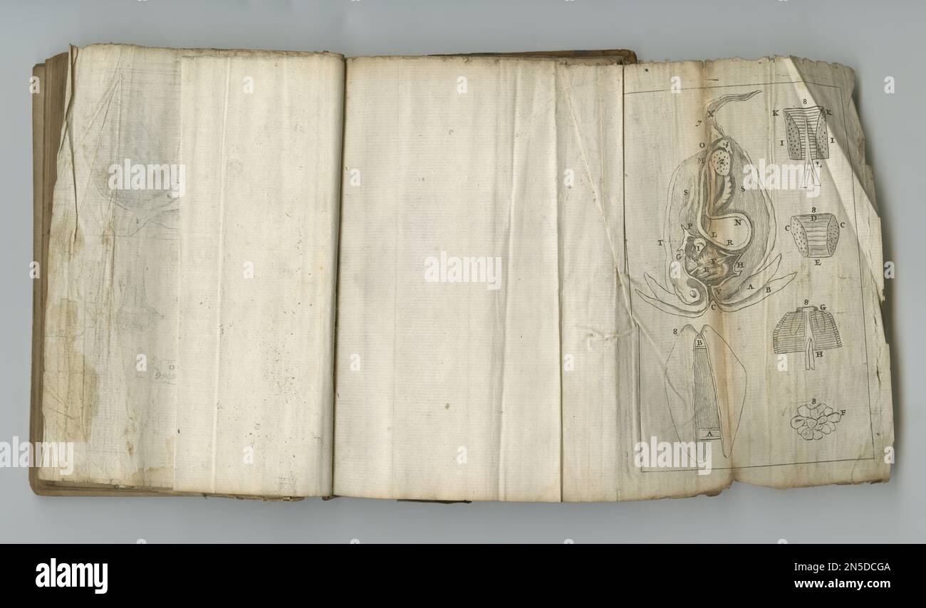 Aged medical pages. An old medical book with its pages on display Stock ...