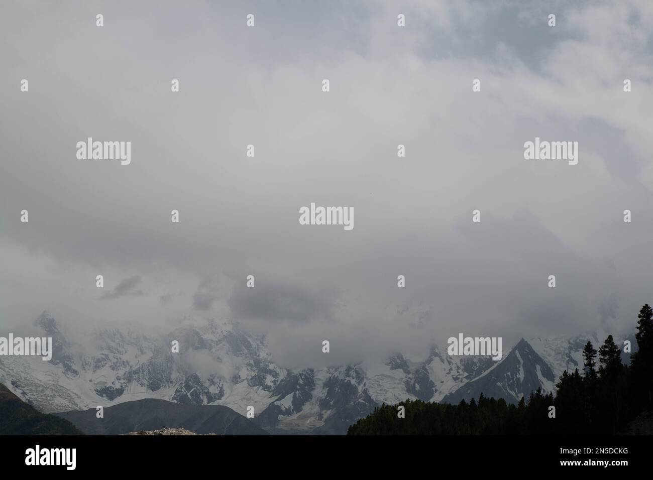 The Fairy Meadows of Nanga Parbat in India on a cloudy day Stock Photo ...