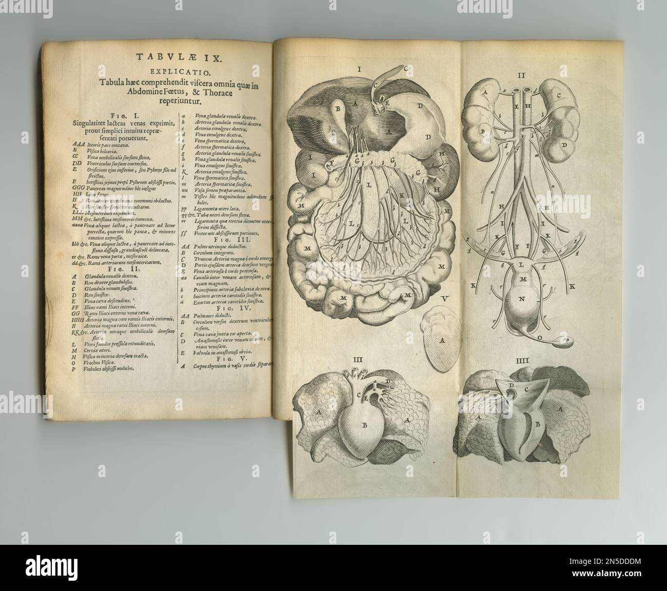Old medical writings. An old anatomy book with its pages on display ...