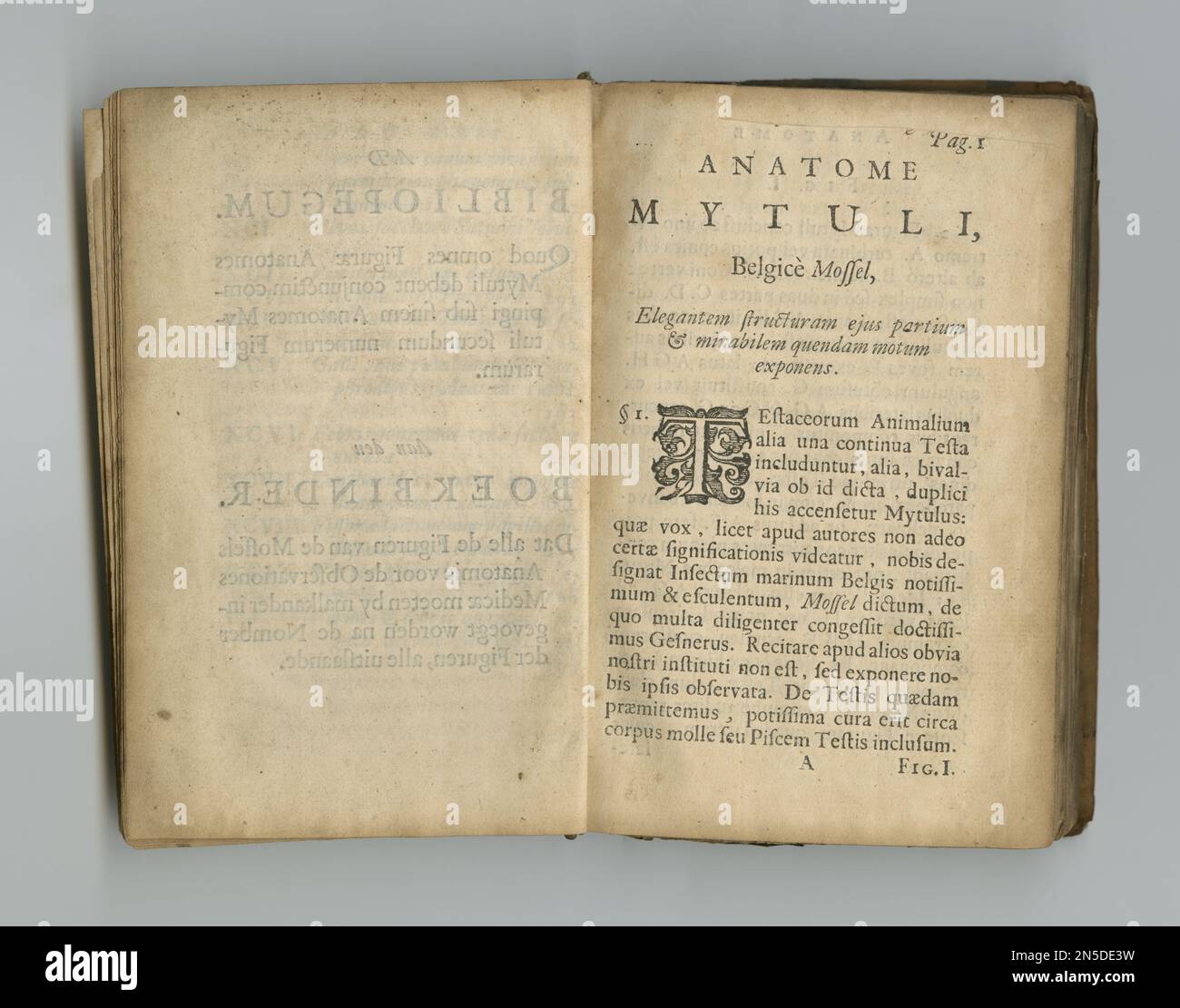 Weathered pages of an old book. An old medical book with its pages on ...
