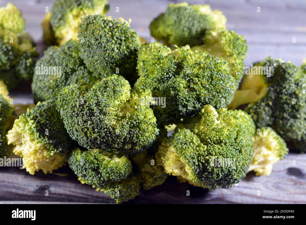 Broccoli (Brassica oleracea var. italica), an edible green plant in the ...