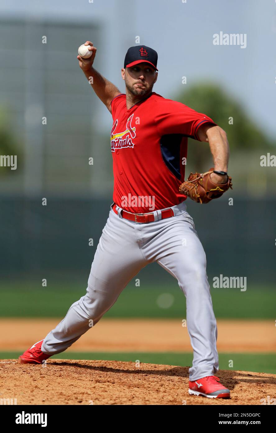 St. Louis Cardinals pitcher Adam Wainwright throws live batting ...