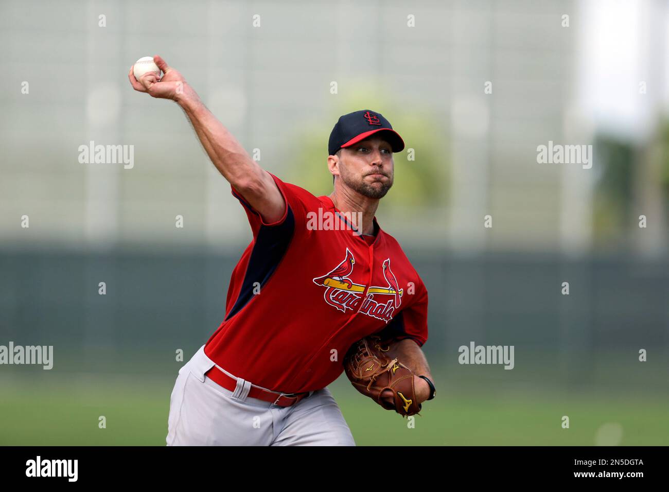 St. Louis Cardinals pitcher Adam Wainwright throws live batting ...
