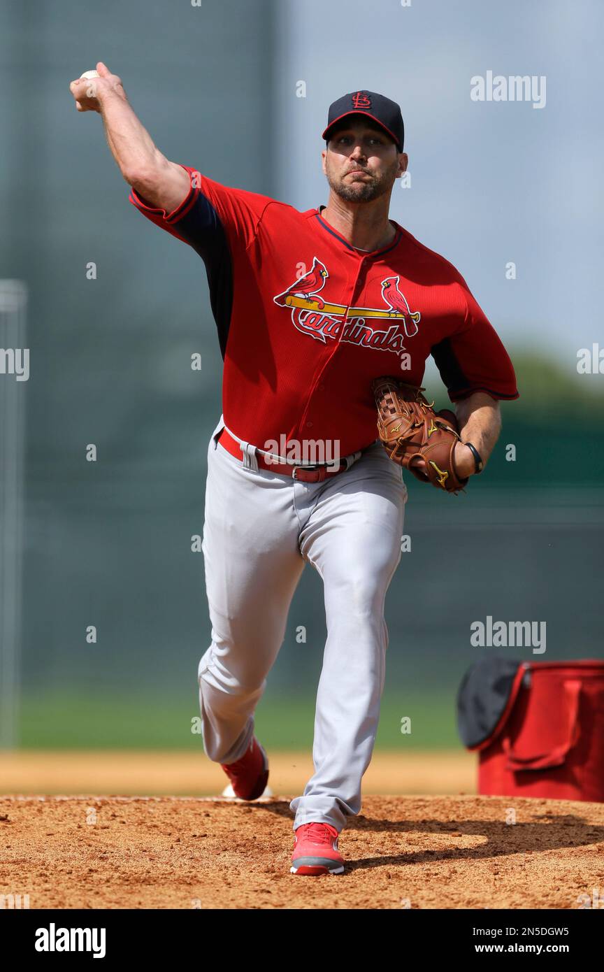 St. Louis Cardinals pitcher Adam Wainwright throws live batting ...