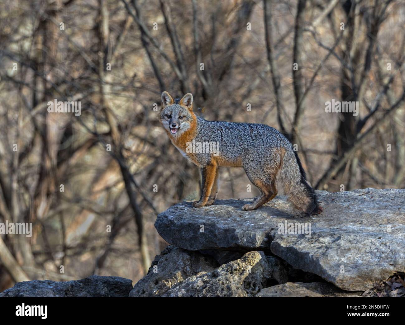 Photographer oklahoma hi-res stock photography and images - Alamy