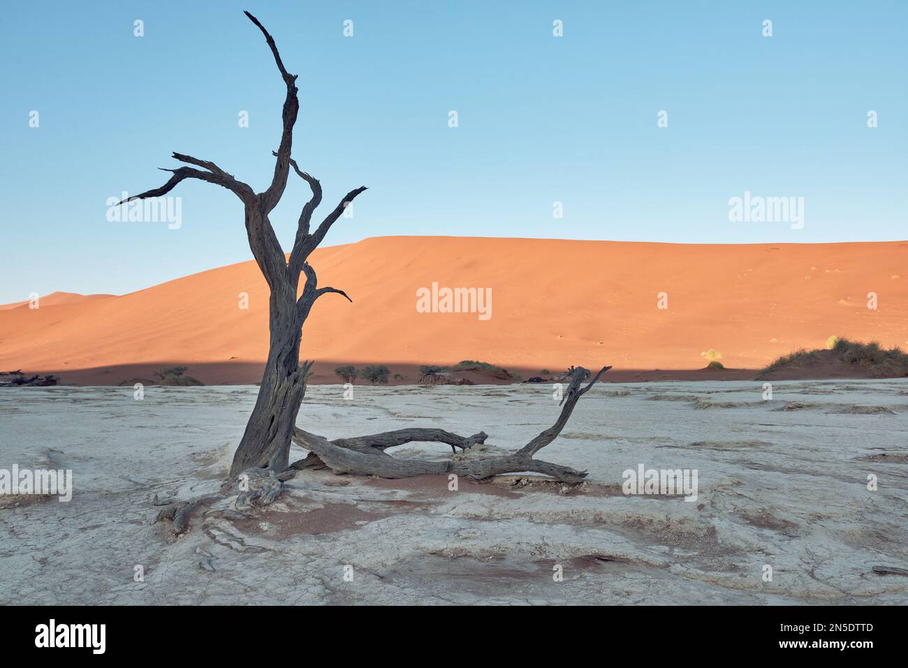 Drainage pan hi-res stock photography and images - Alamy