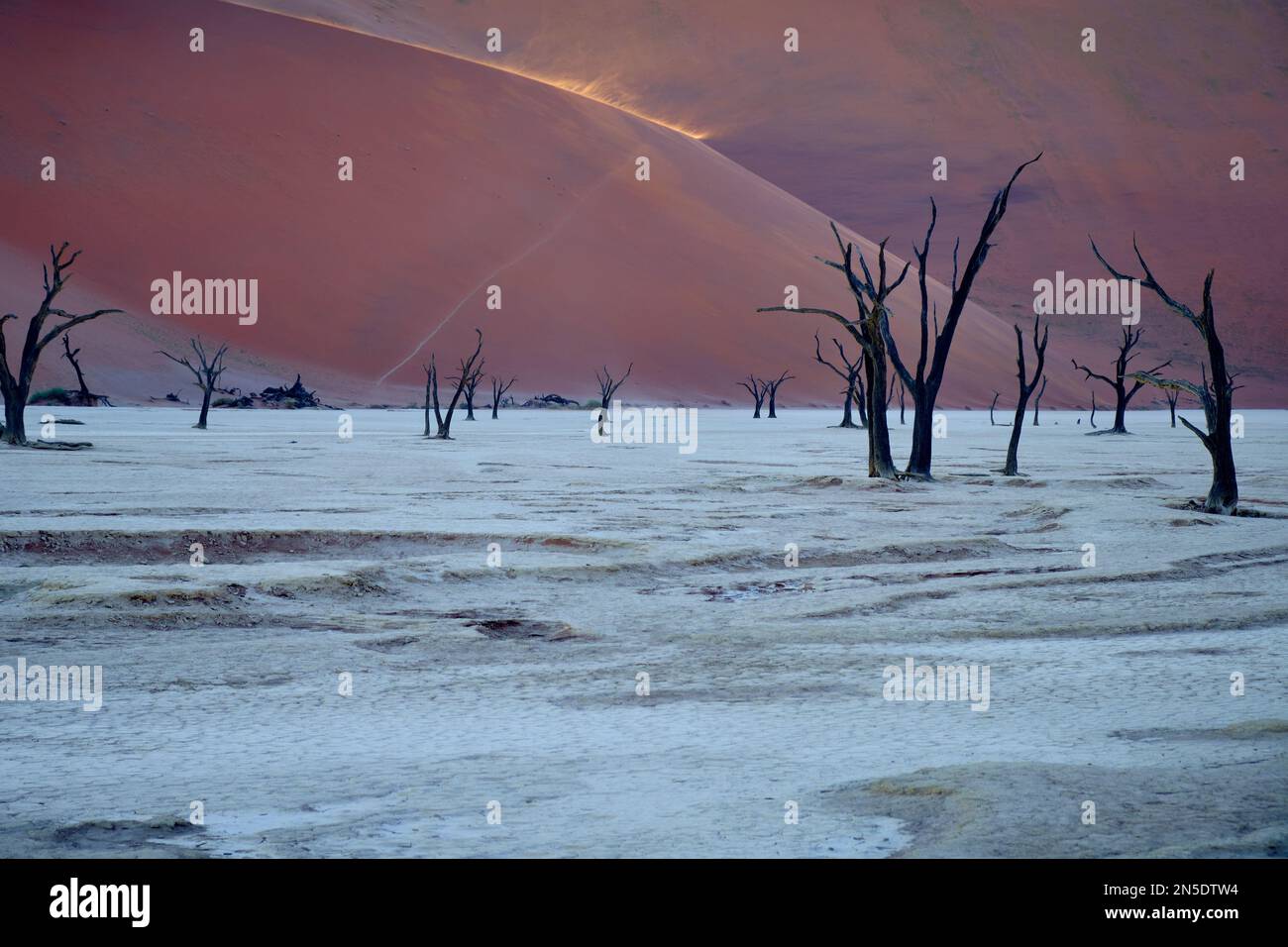 Namibia sand dunes digitally hi-res stock photography and images - Alamy