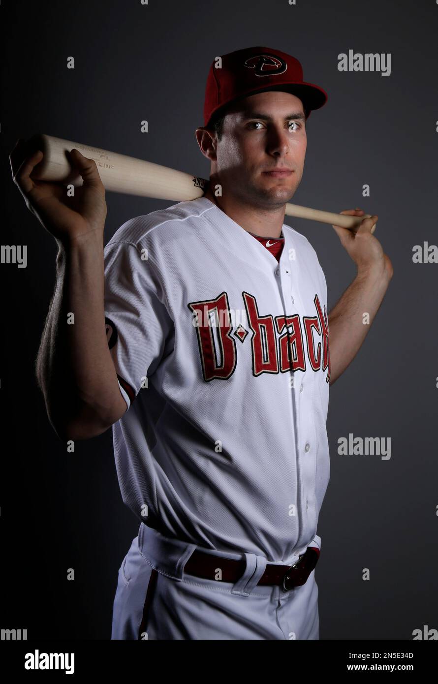 Arizona Diamondbacks first baseman Paul Goldschmidt poses during the ...