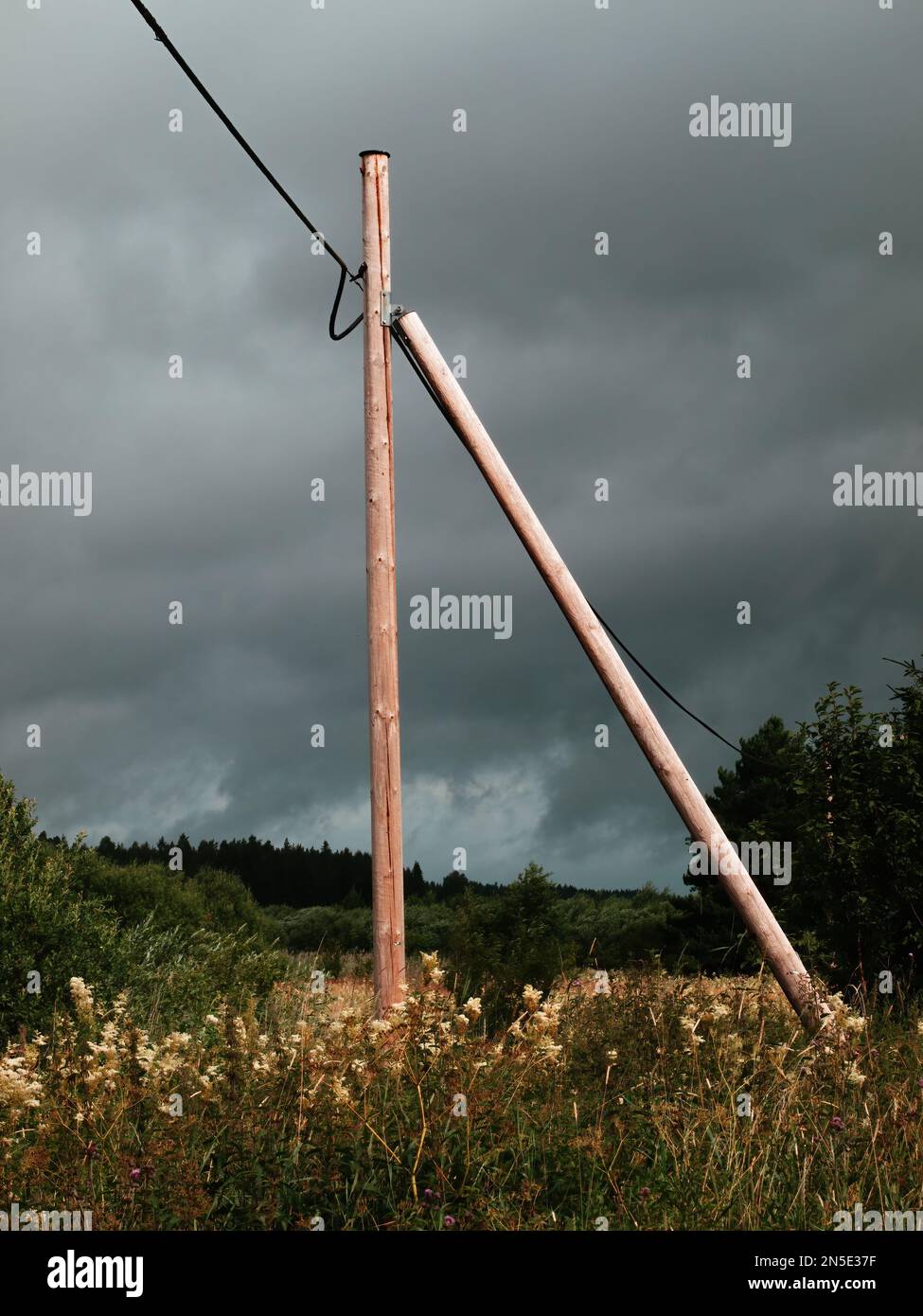 A rural landscape with rusty poles against a field of wildflowers in ...