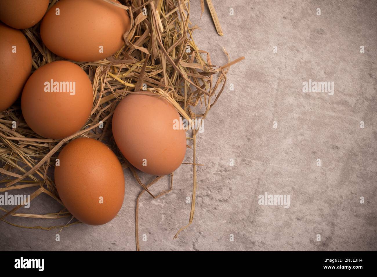 Fresh chicken eggs in straw, gray background. Copy space Stock Photo ...