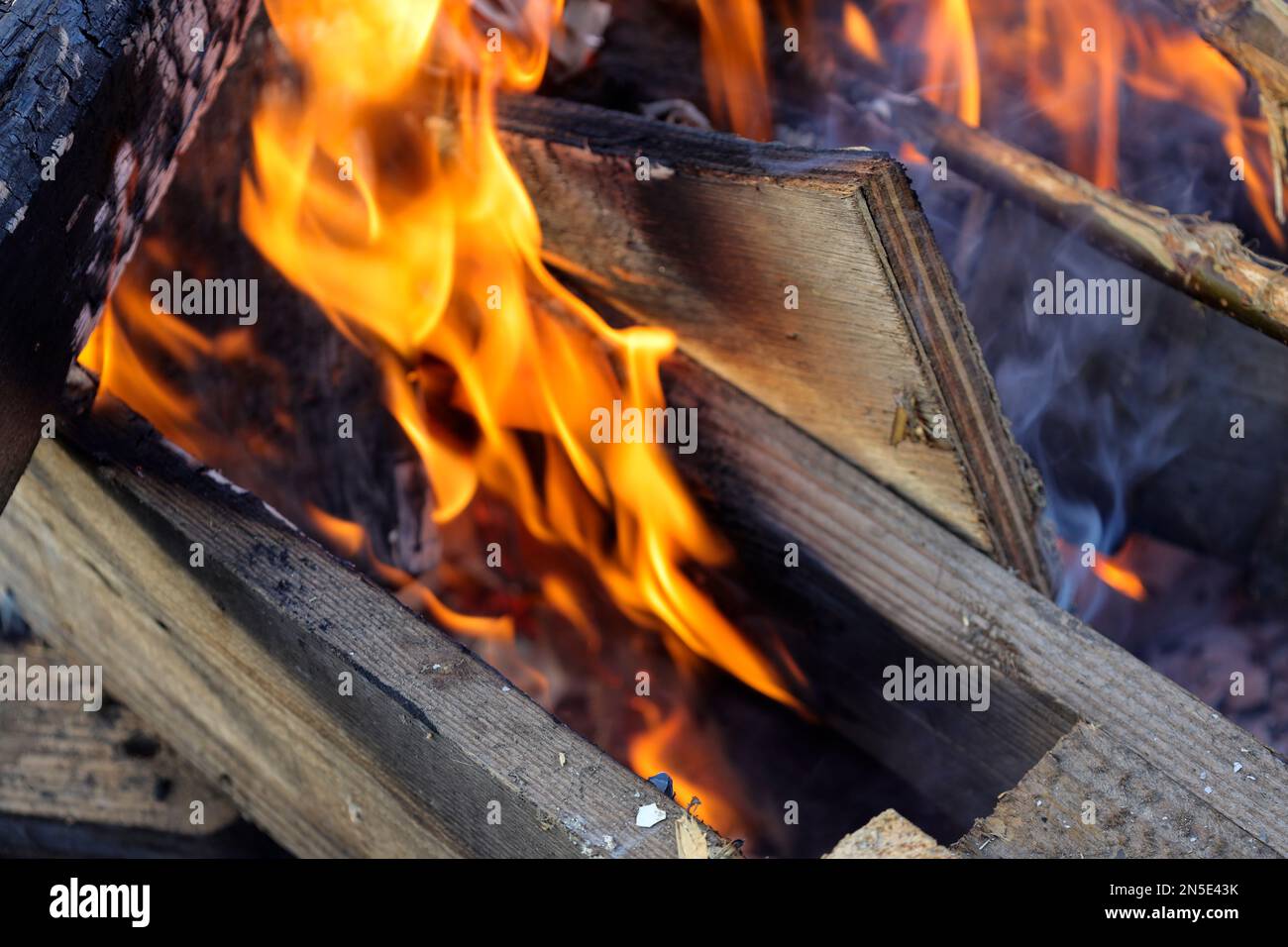 Campfire icon in forest hi-res stock photography and images - Alamy