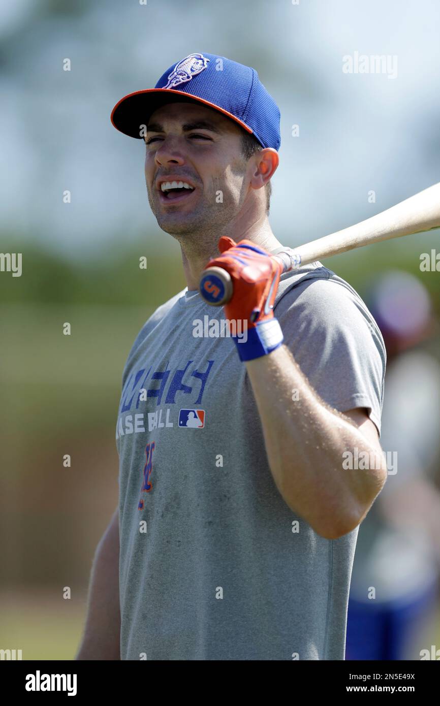New York Mets infielder David Wright holds a bat on his shoulder during ...