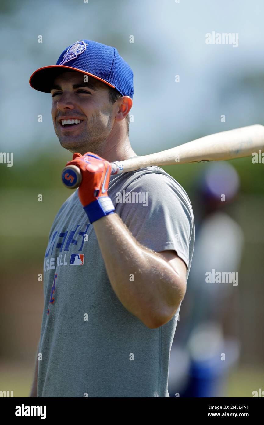 New York Mets infielder David Wright holds a bat on his shoulder during ...