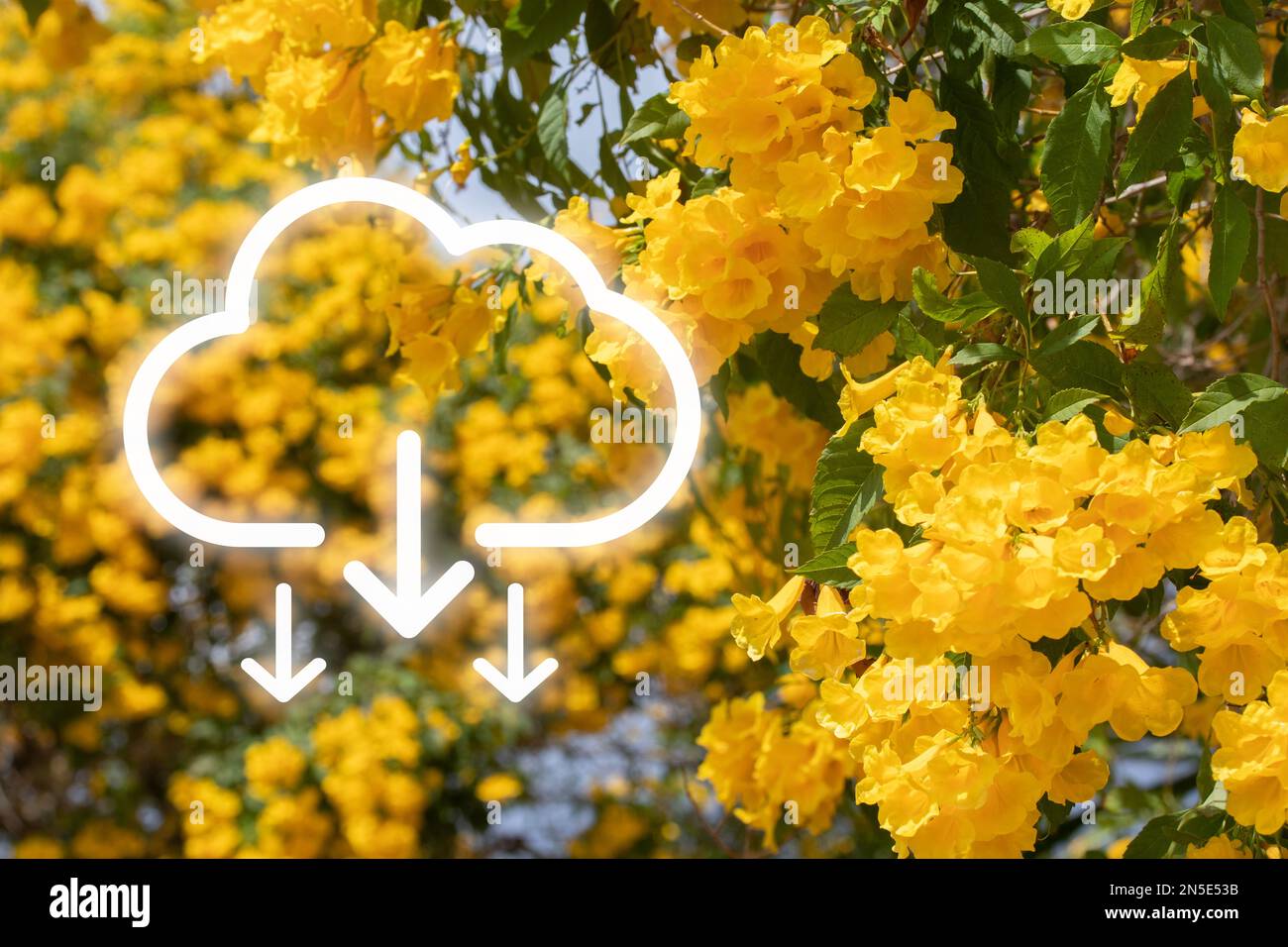 Clean environment without carbon dioxide emissions. Modern eco ...