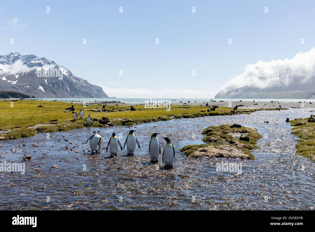 Gold harbor south georgia hi-res stock photography and images - Alamy