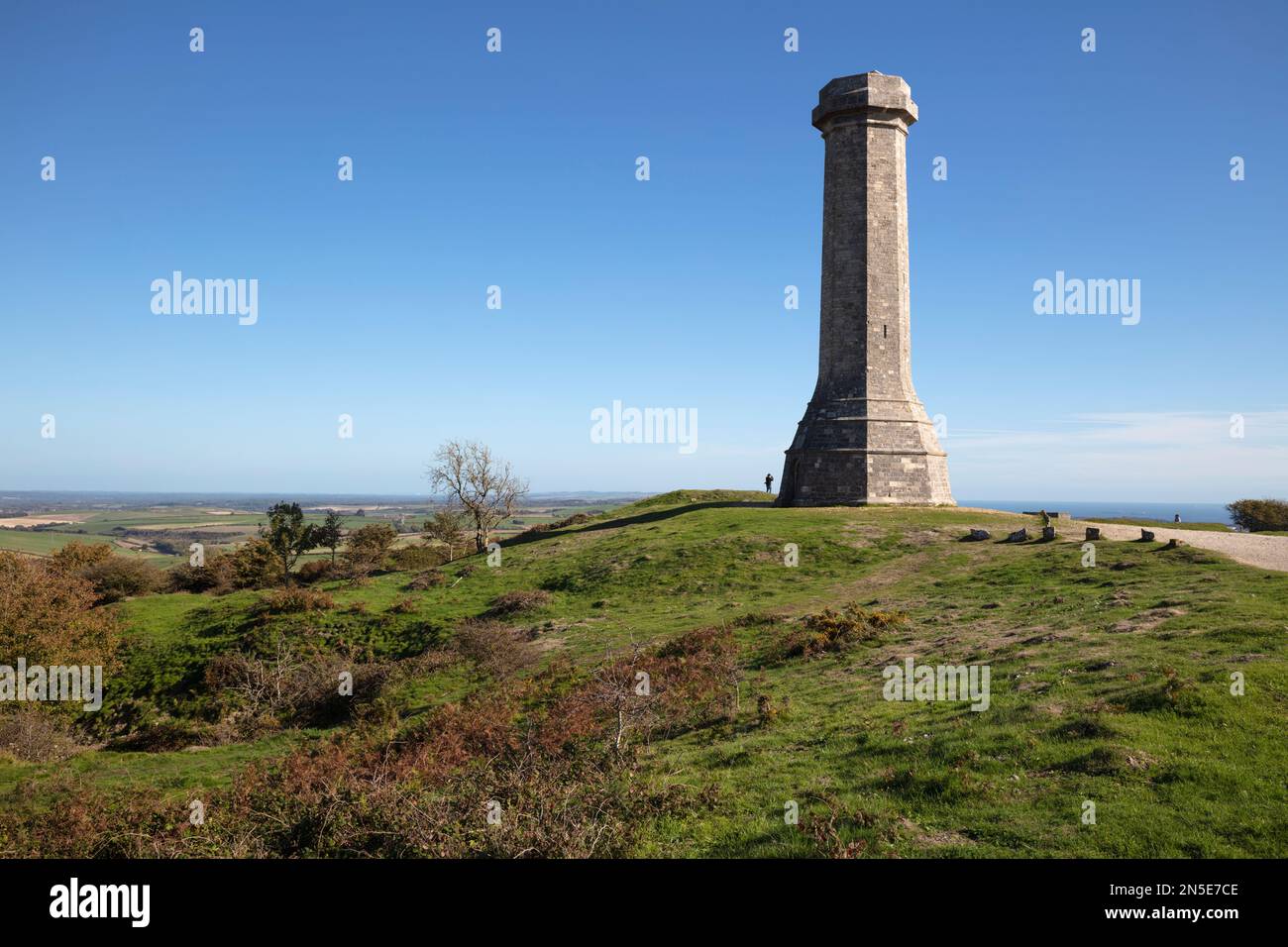 Hardy Monument, Portesham, Dorset, England, United Kingdom, Europe ...