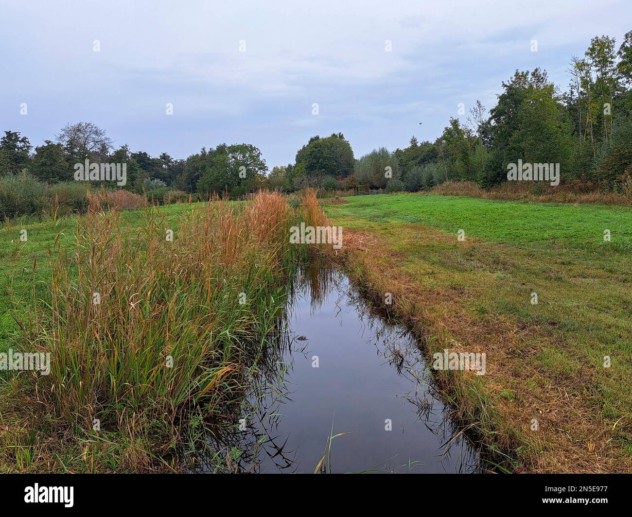 Fields and meadows of the botanic garden in Gouda in the Netherlands ...