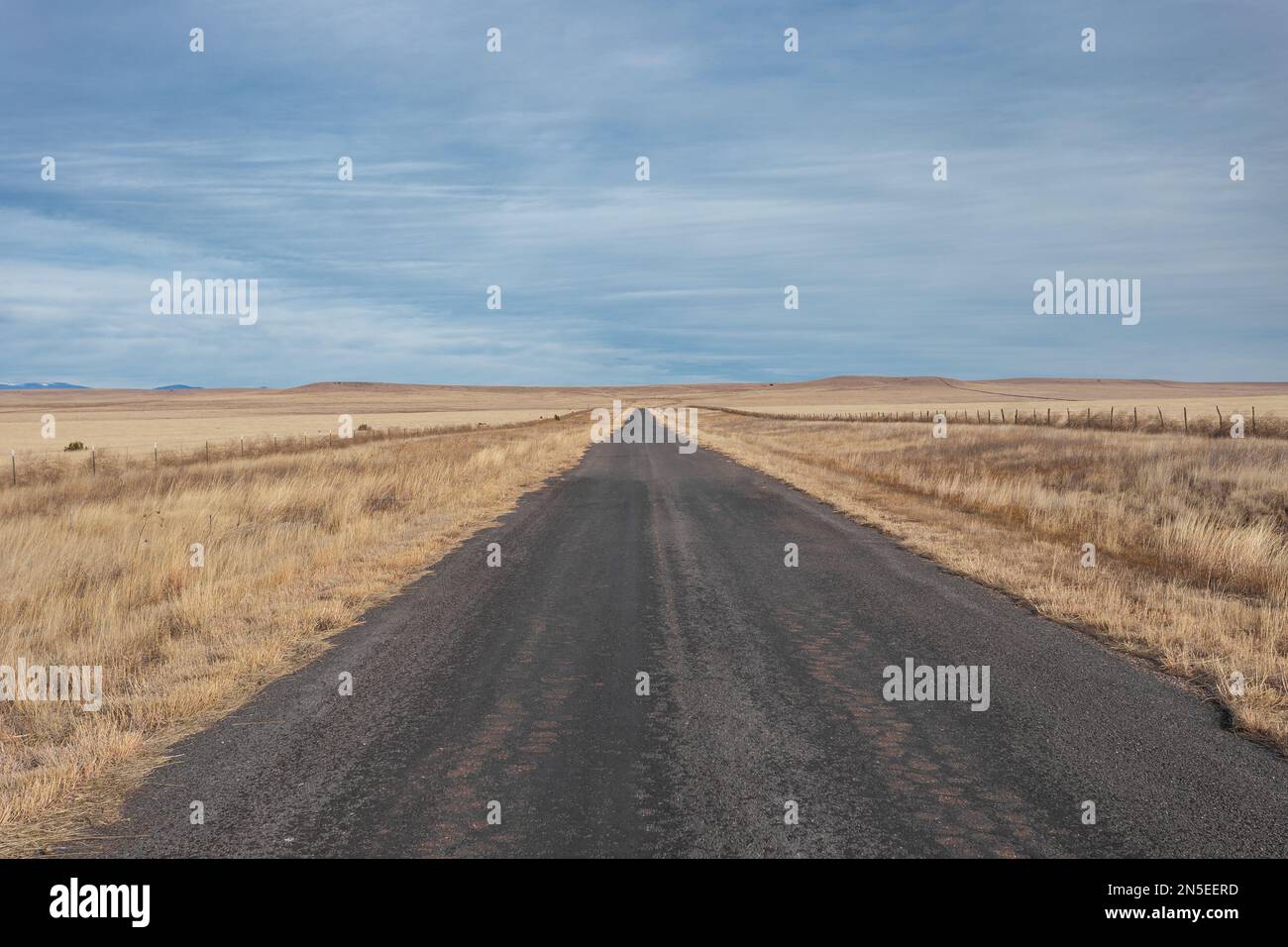 Empty paved road cutting through open yellow pastures with clear sky in ...