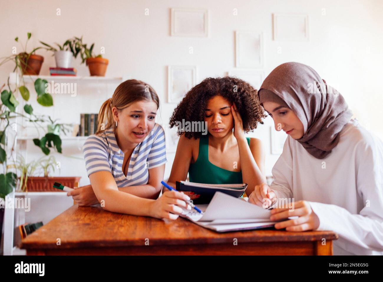 Three cute teenage girls do their homework. Caucasian, African American ...