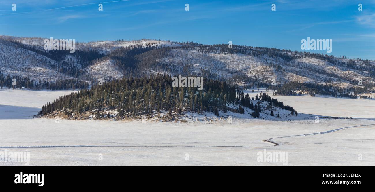 Pristine snowfall in the new forest hi-res stock photography and images ...