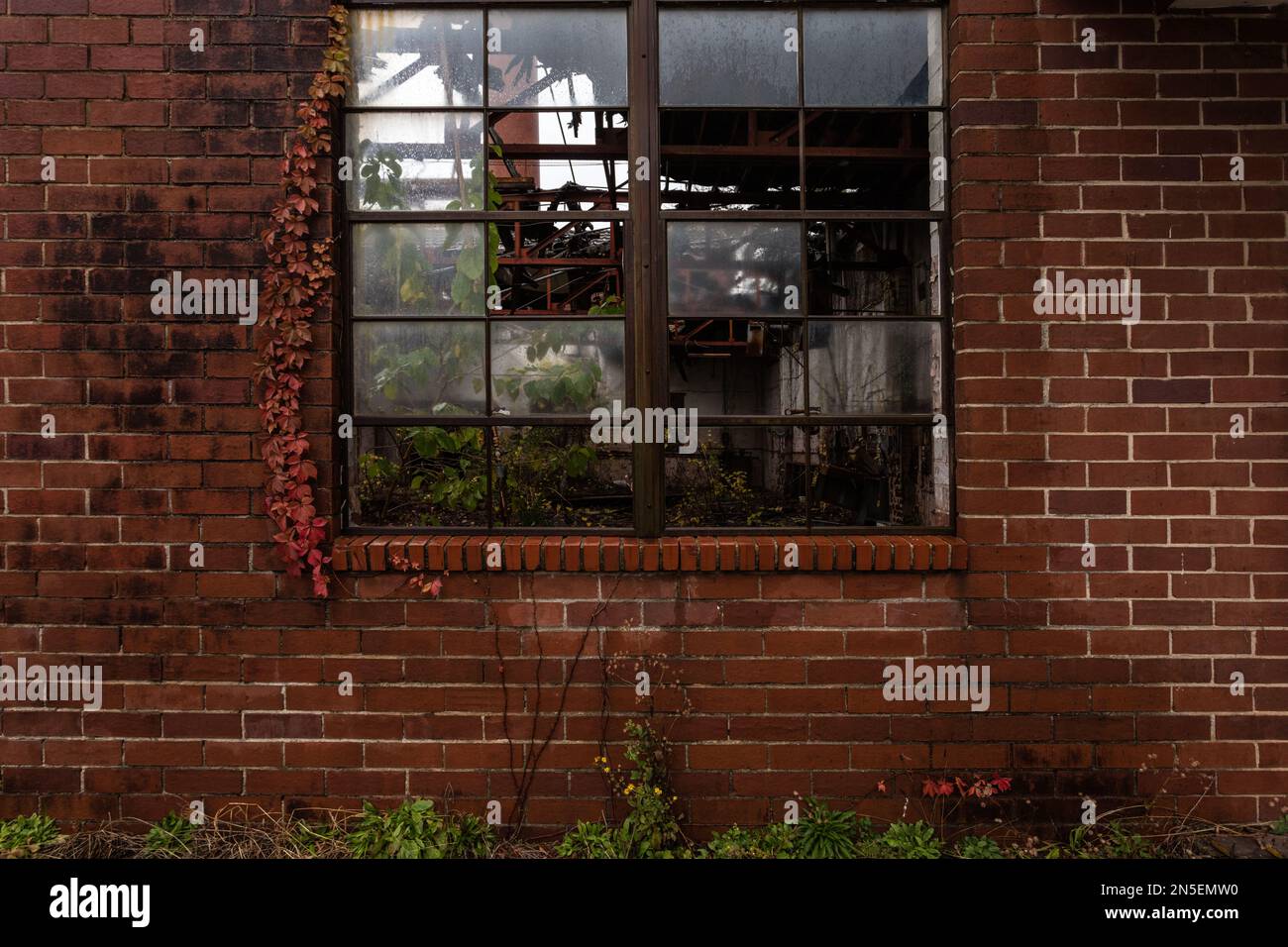 Side of crumbling red brick building left to rot in small rural Georgia ...
