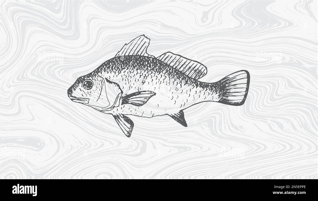 beautiful hand drawn illustration with vintage fishes Stock Vector ...