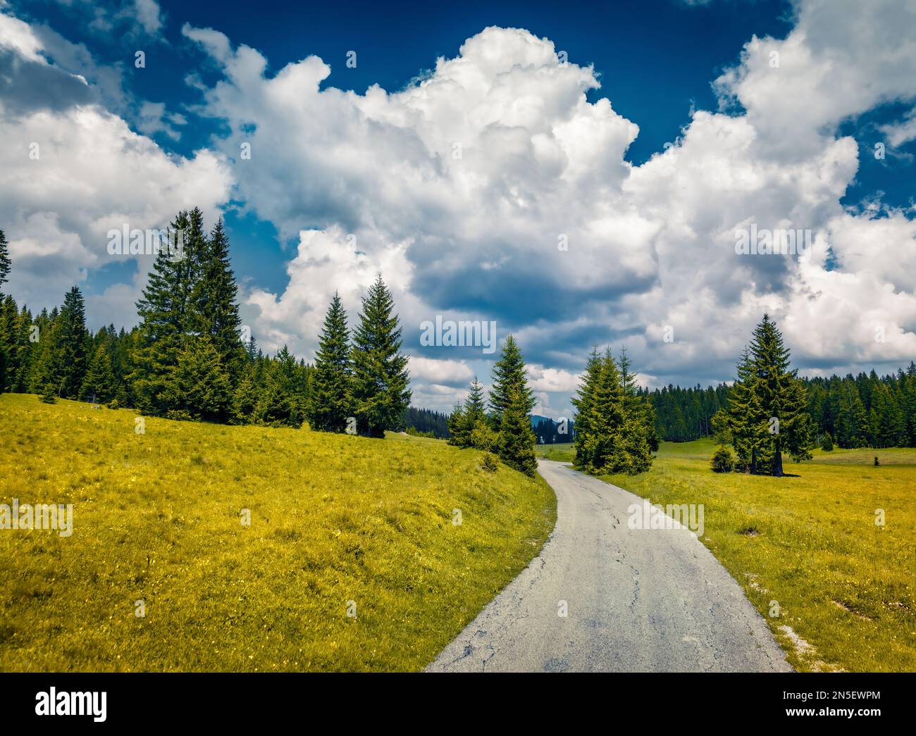 Spectacular summer scene of Durmitor Nacionalni Park. Sunny morning ...