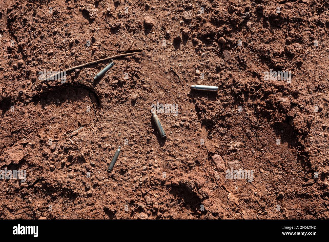 Blank ammunition bullet hi-res stock photography and images - Alamy