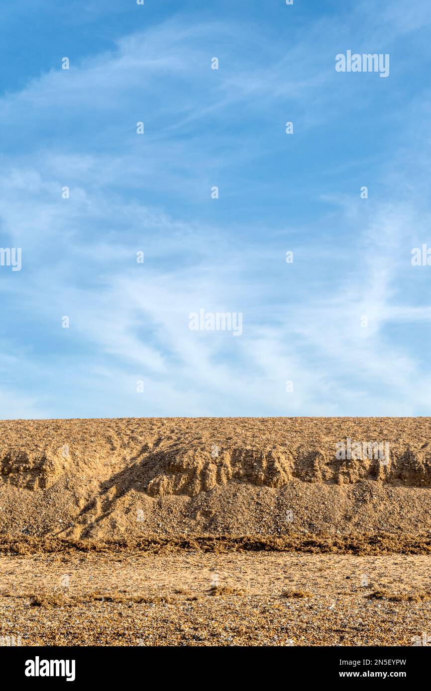 Cliffing of shingle beach above high tide line on the east coast of The ...