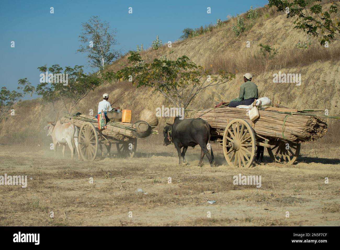 Traditional two-wheeled ox carts belong to the cultural heritage of ...
