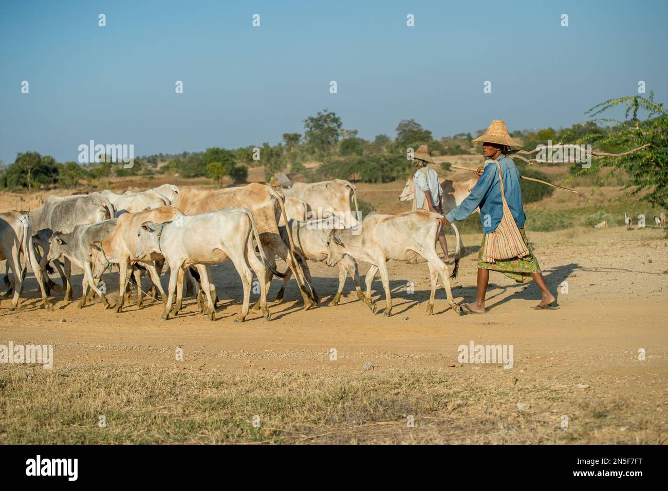 Hot cowgirl hi-res stock photography and images - Alamy