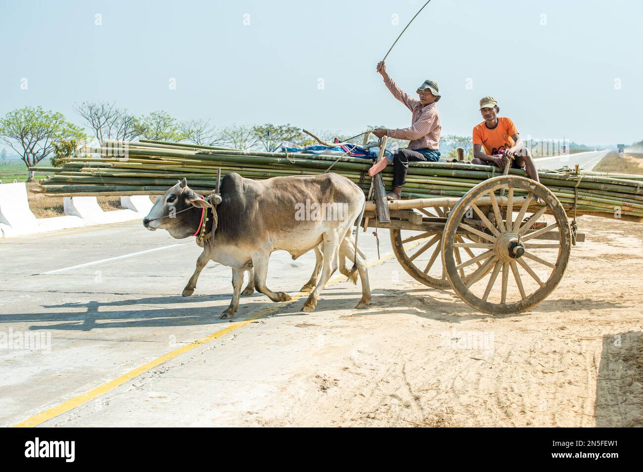 Traditional two-wheeled ox carts near Bagan. They belong to the ...