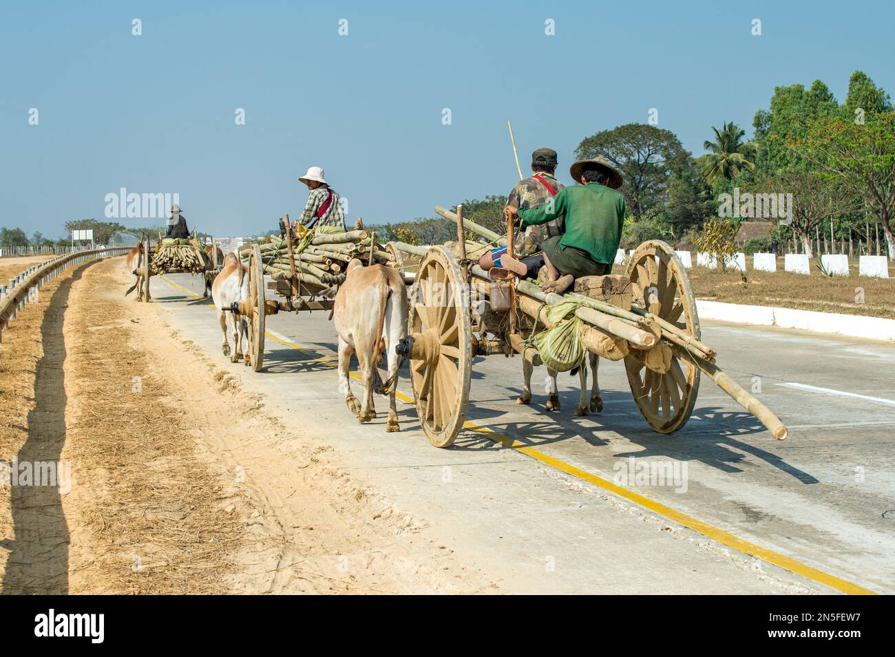 Traditional two-wheeled ox carts near Bagan. They belong to the ...