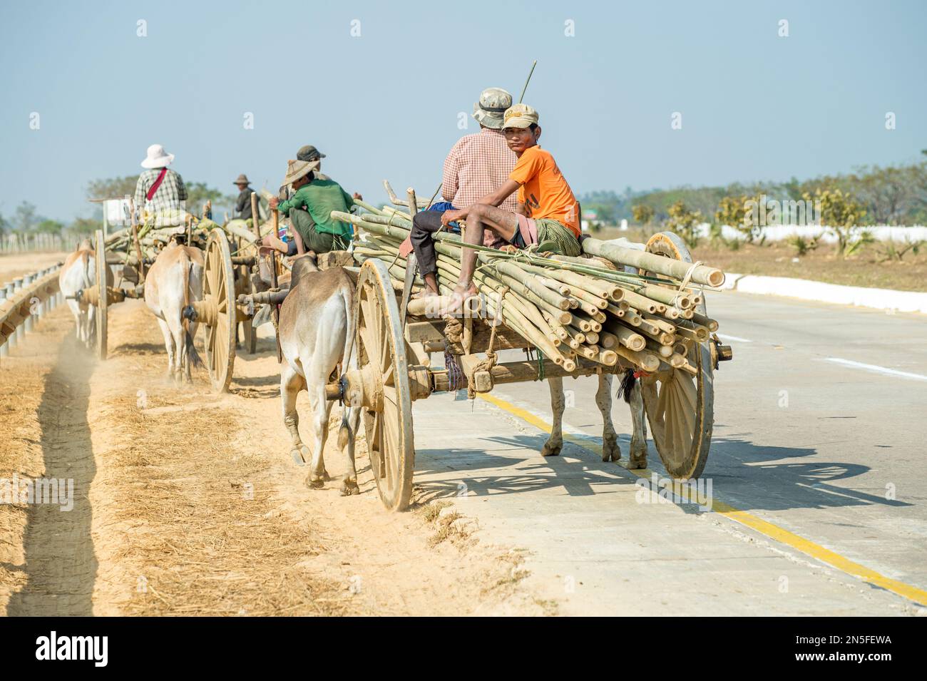 Traditional two-wheeled ox carts near Bagan. They belong to the ...