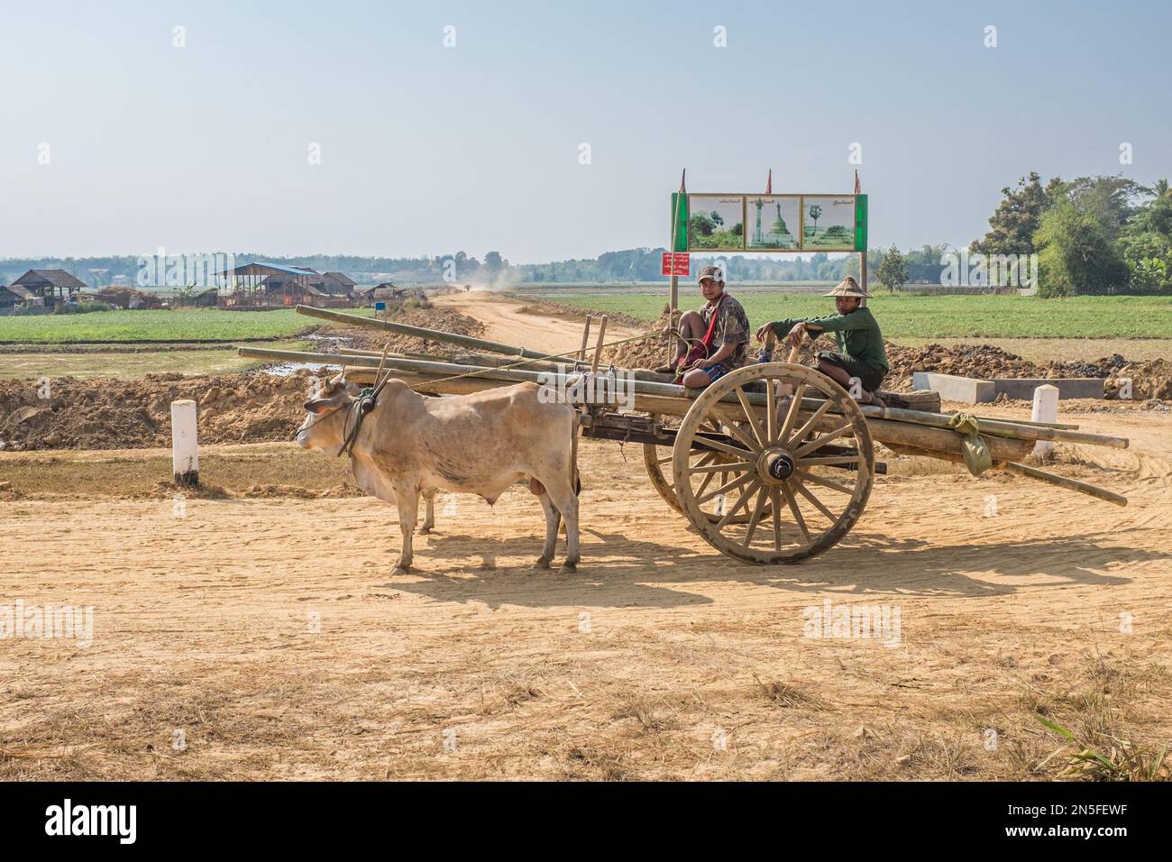 Traditional two-wheeled ox carts near Bagan. They belong to the ...