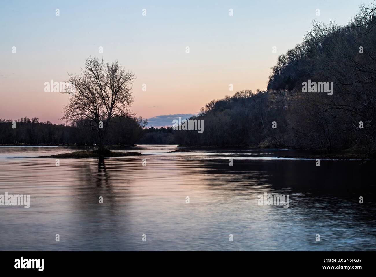 Lone Tree growing in the St. Croix River at twilight showing off its ...