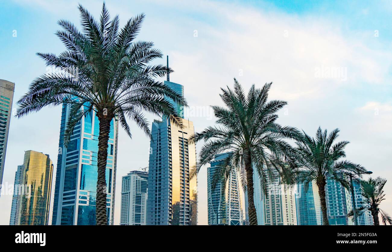 Dubai skyscraper skyline with palm trees Stock Photo - Alamy