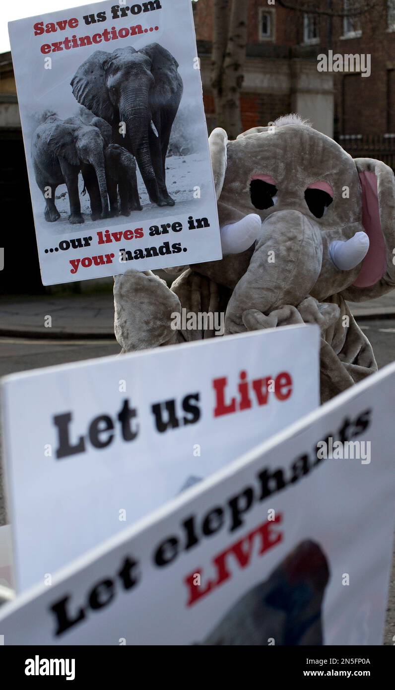 A protester dressed in an elephant costume holds up a placard urging ...