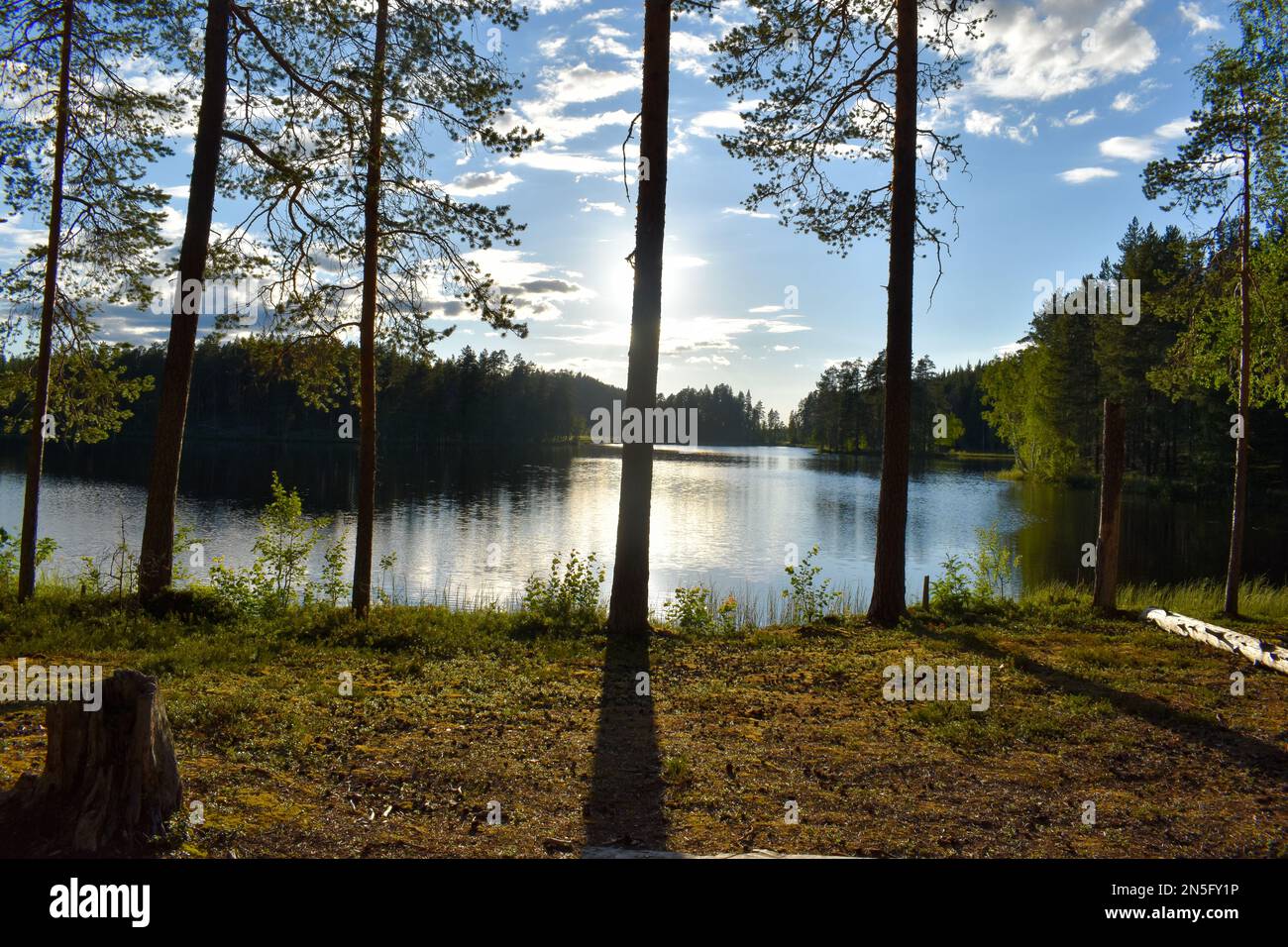 Stjrnfors hi-res stock photography and images - Alamy