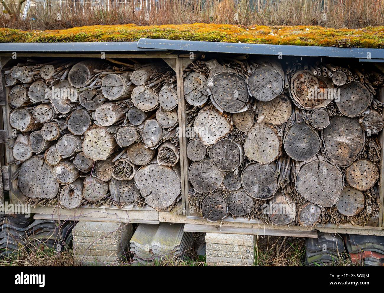 Large wooden insect hotel with green, living roof Stock Photo - Alamy