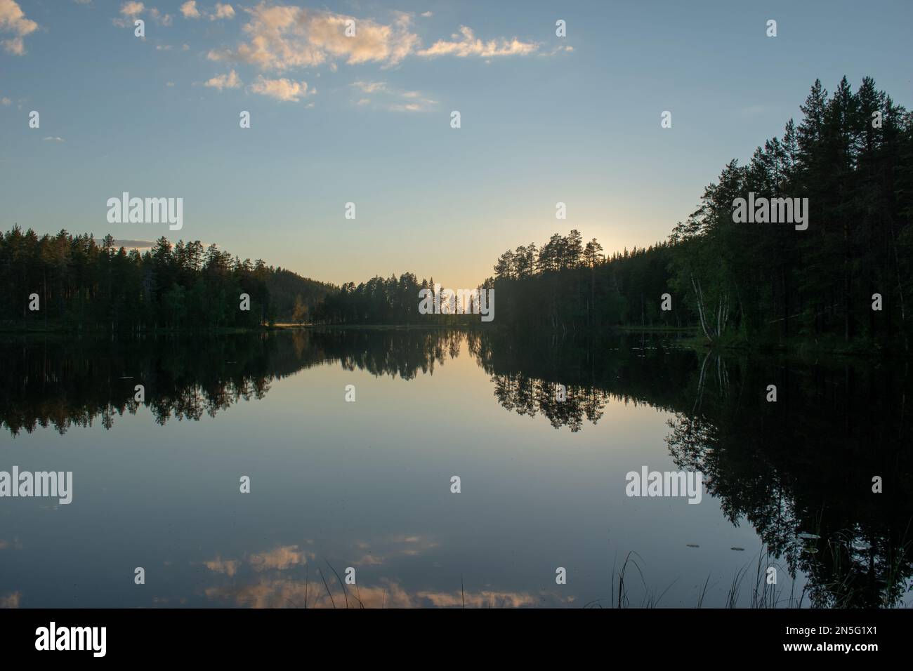 Forest lake in Sweden on a summer late afternoon, after sunset. Nydala ...