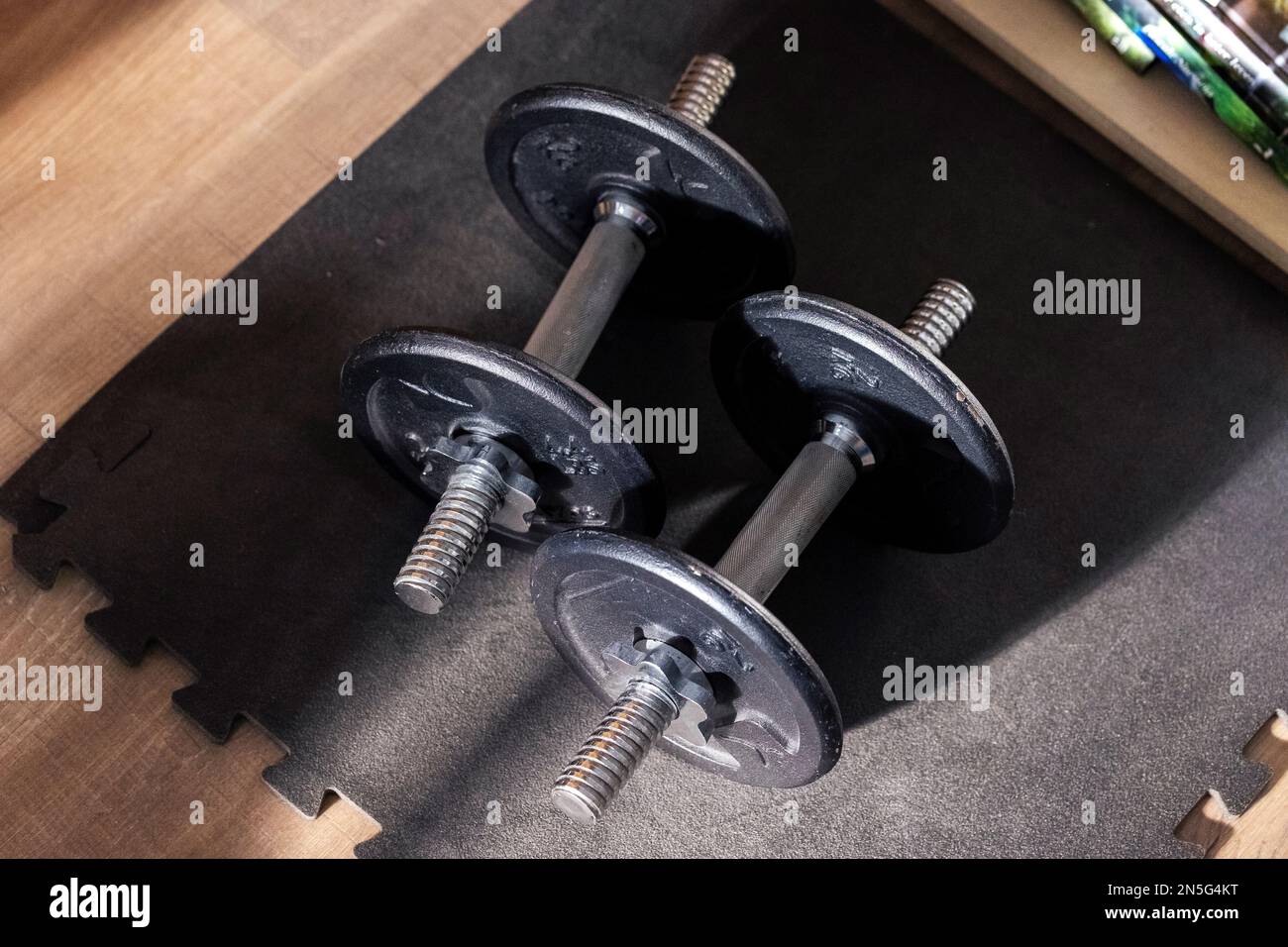 A portrait of two dumbbell weights lying on a small mat ready to be ...