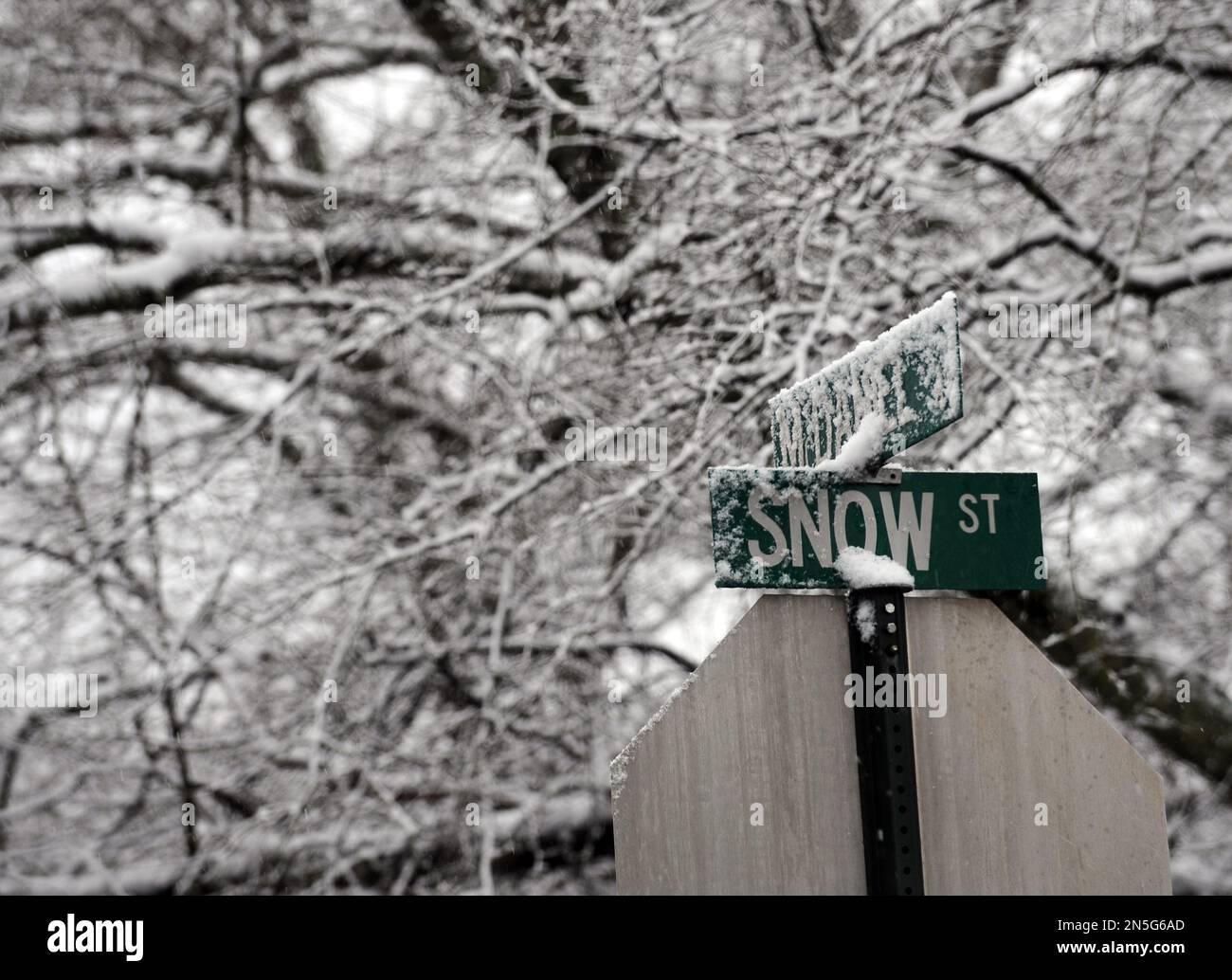 Snow and ice build up on the street signs for Snow and McDaniel Streets ...