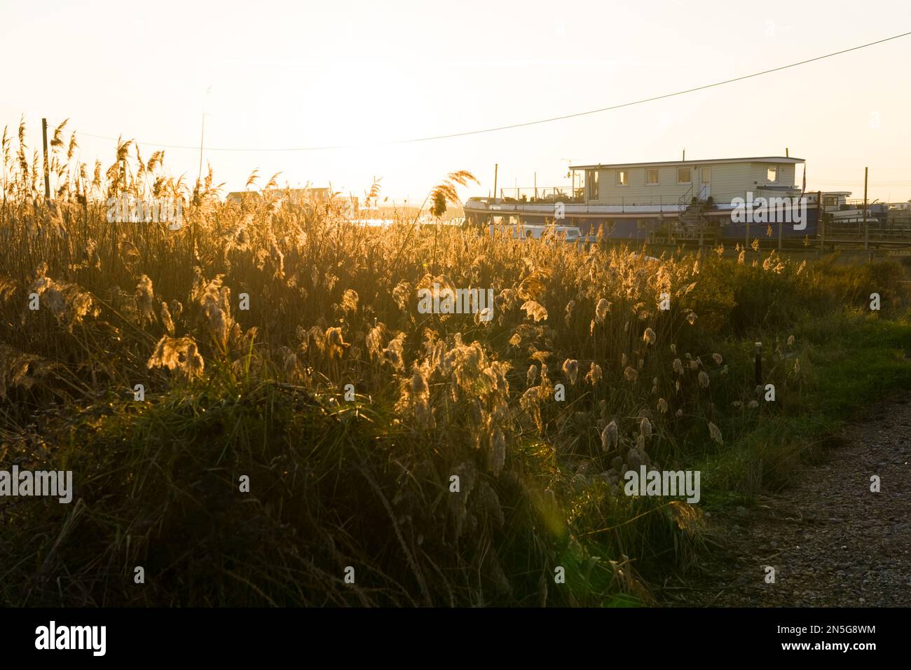 Sunset over the Essex island of Mersea Stock Photo - Alamy