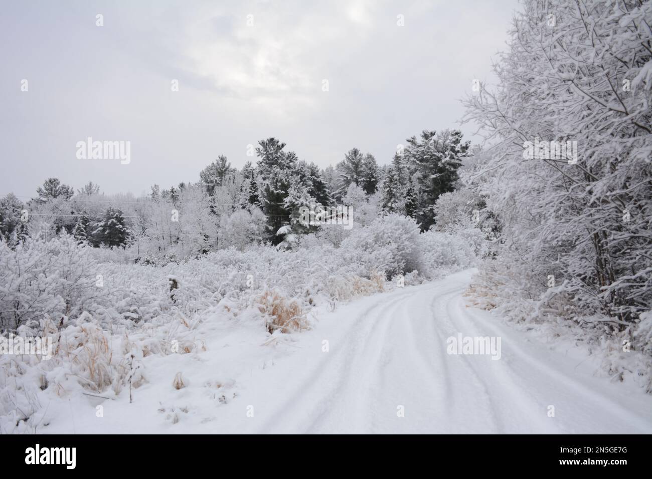 Images of winter hi-res stock photography and images - Alamy