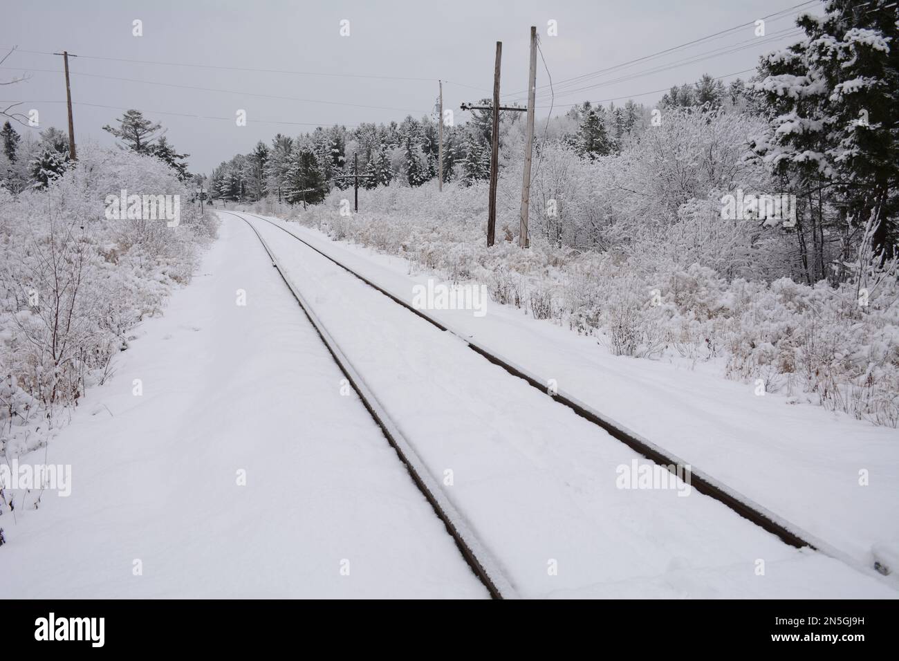 Single railroad track on snowy day in Northern Ontario Stock Photo - Alamy