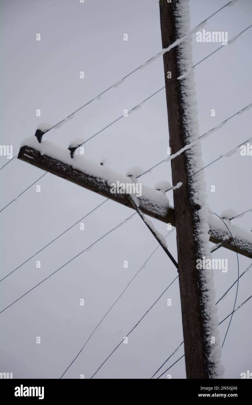 Single utility pole on railroad in winter Stock Photo - Alamy